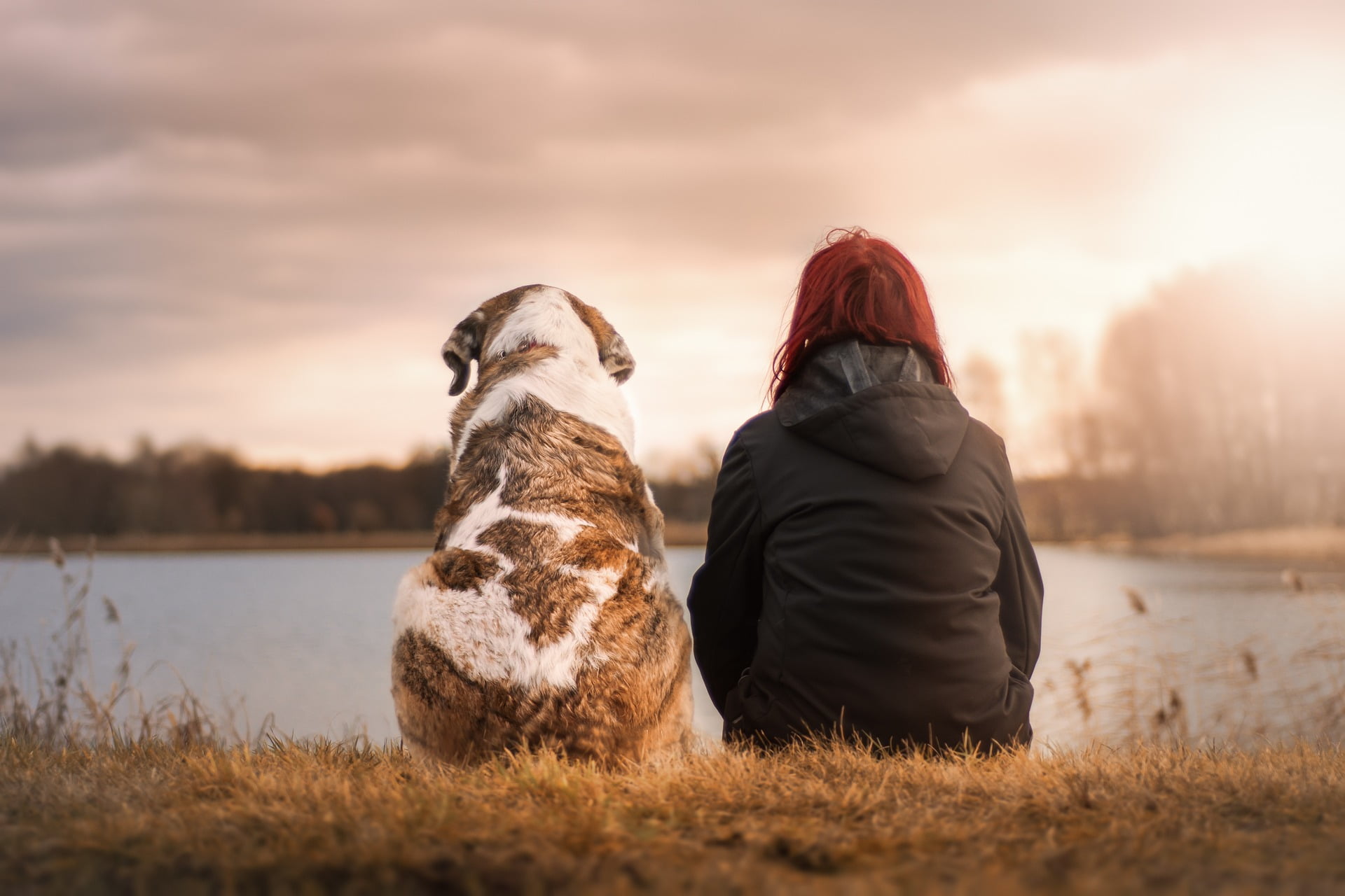 What Makes Humans Different From Animals